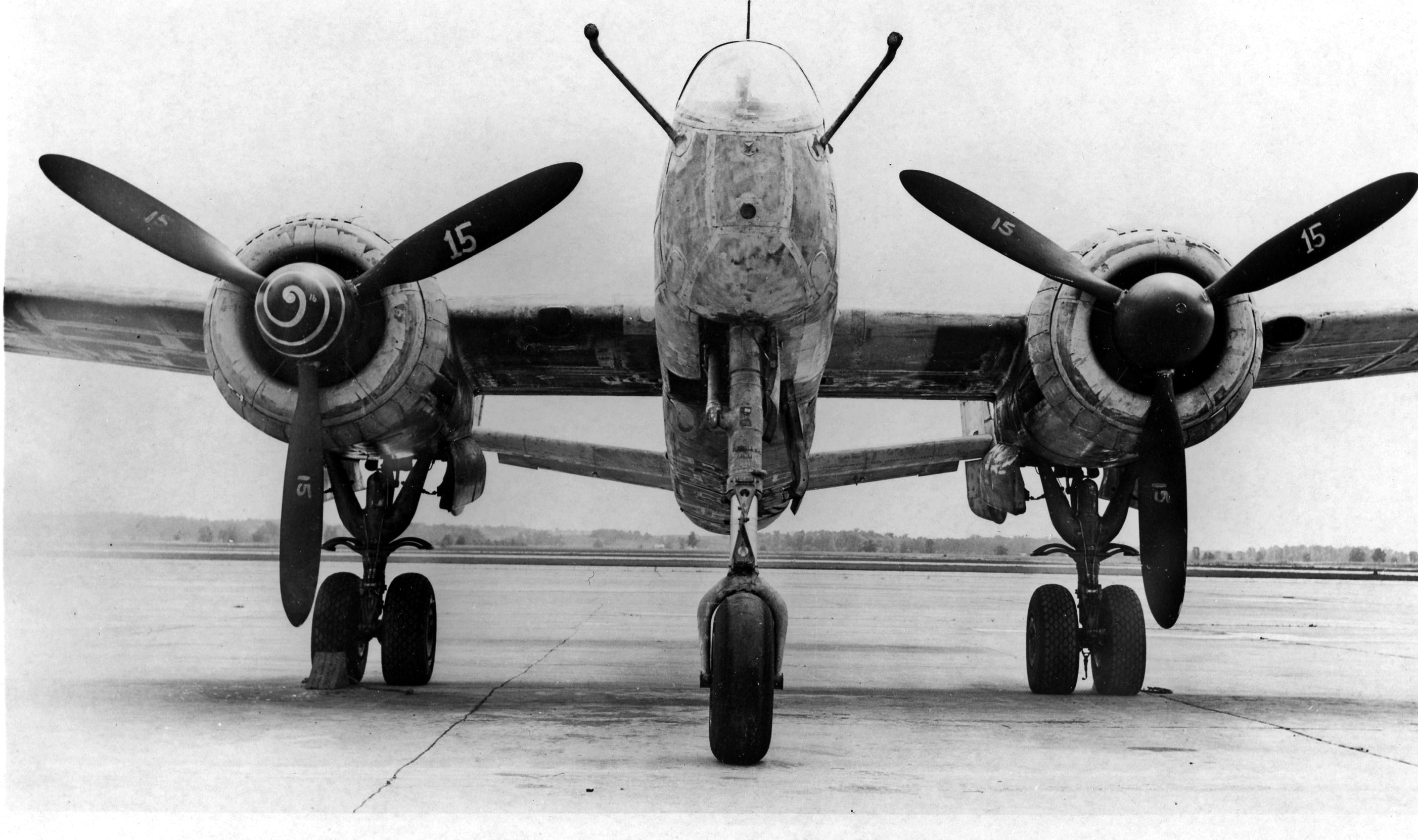 He 219 – The Jive Bomber